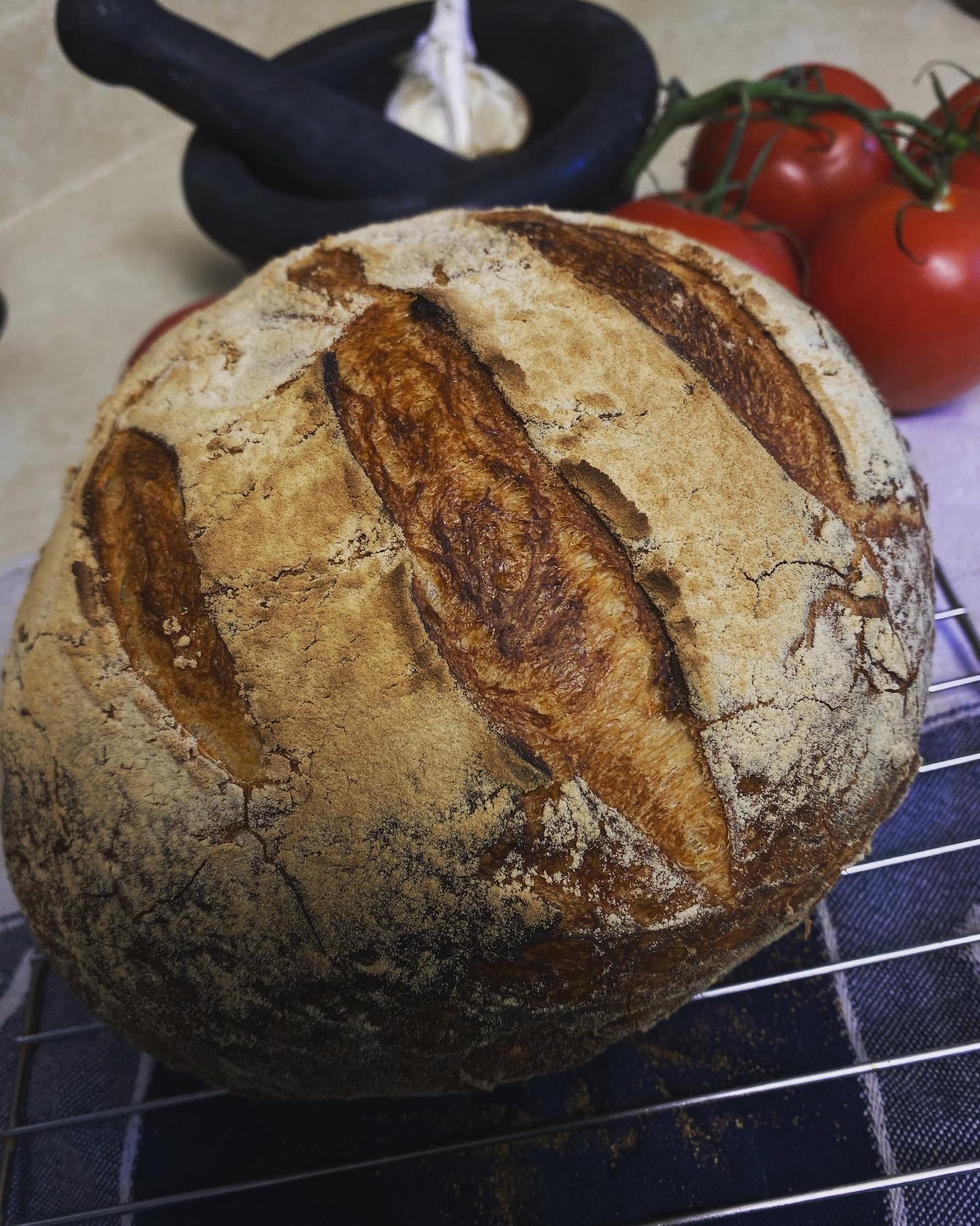 Easy Sourdough Bread, Everything you need to know – Moon Snail Microstead